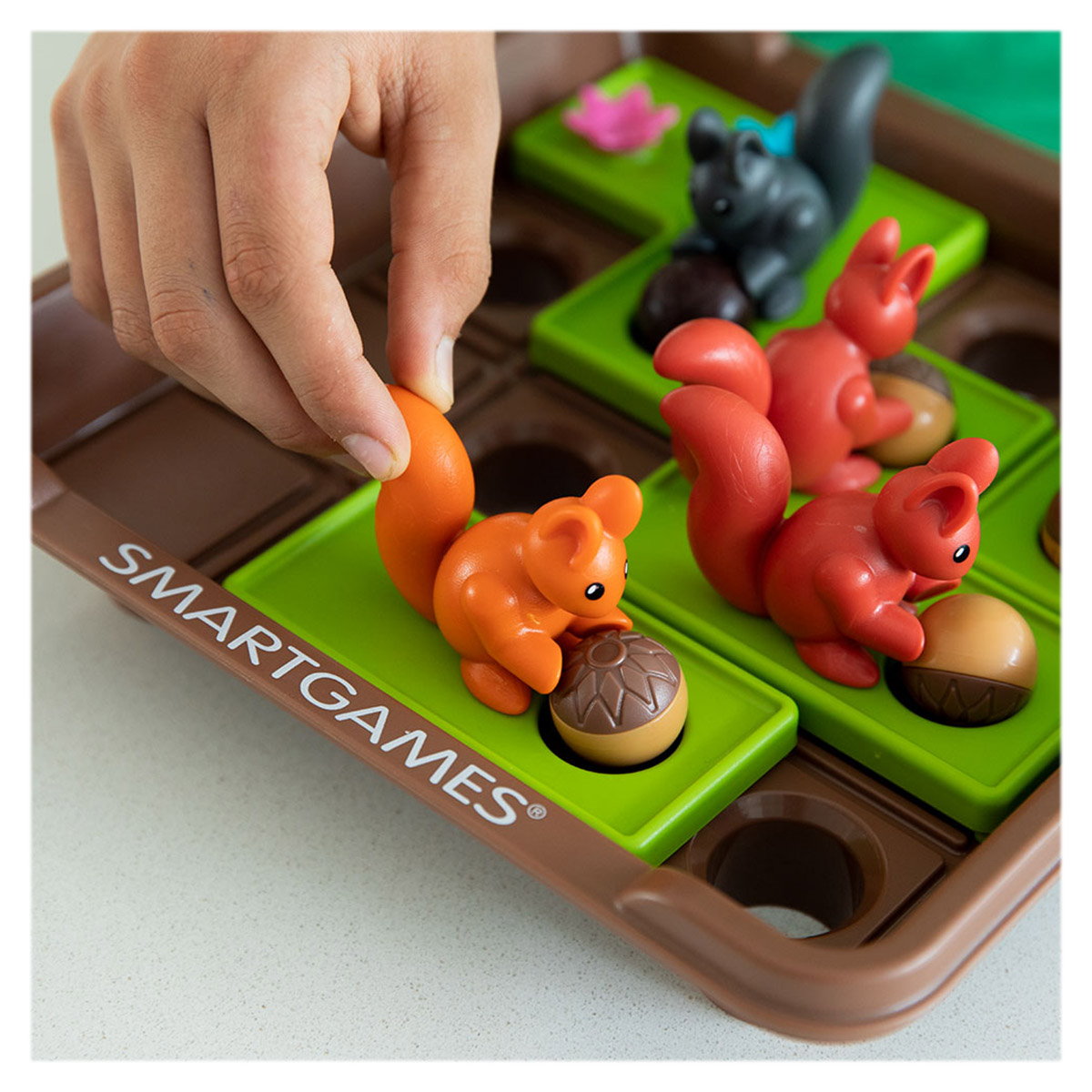 Squirrels Go Nuts XXL, SMART GAMES - Creatoys.ro